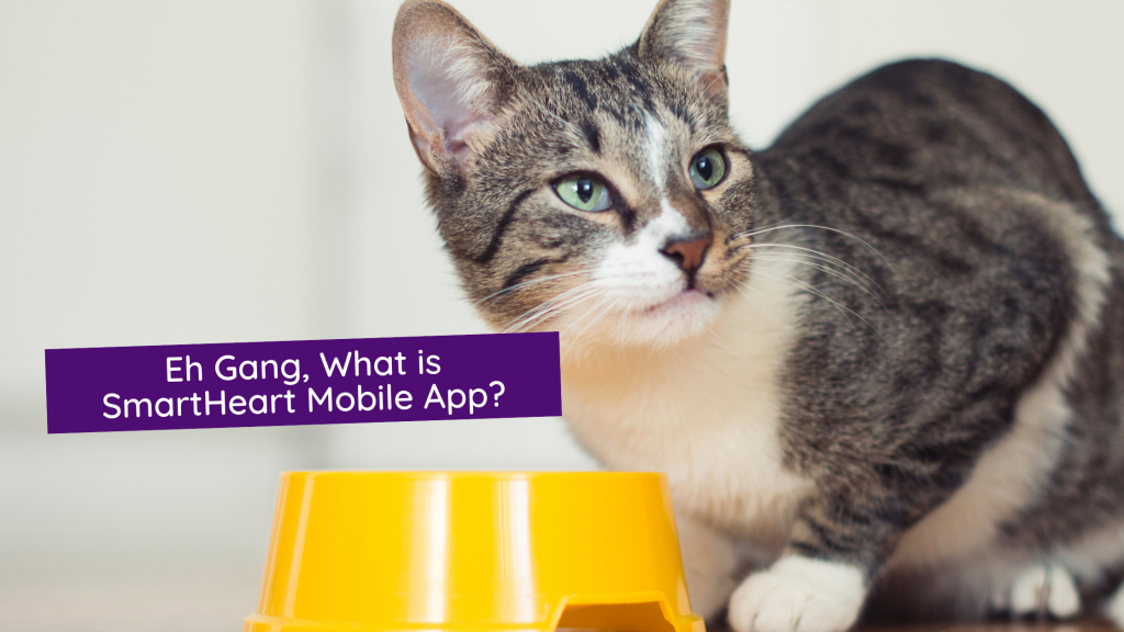 Eh Gang, What Is SmartHeart Mobile App? | The Kind Helper