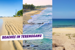 12 Nature Retreats In Selangor That Will Rejuvenate You | The Kind Helper